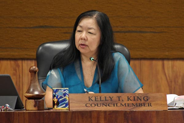 Planning panel advances special fund for shoreline issues | News ...